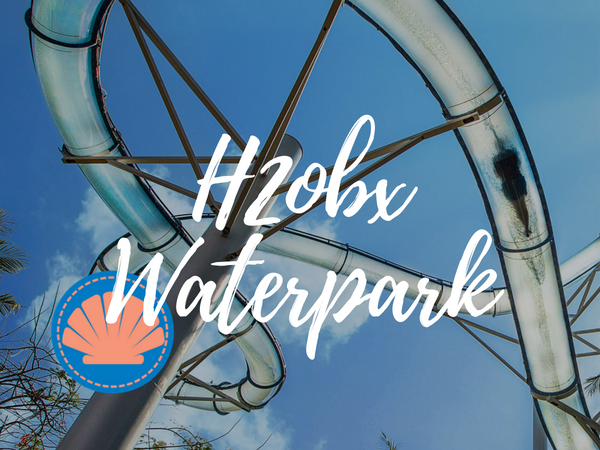 Outer Banks Day Trip: H2OBX Waterpark | Beach Realty & Construction